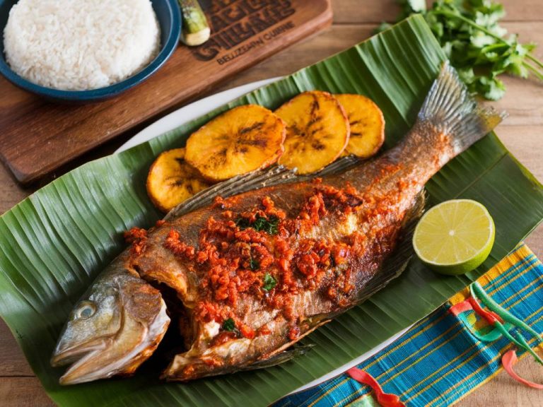 The diverse ecosystems of belize: from rainforests to coral reefs ...