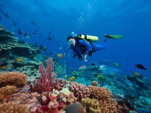 The diverse ecosystems of belize: from rainforests to coral reefs ...